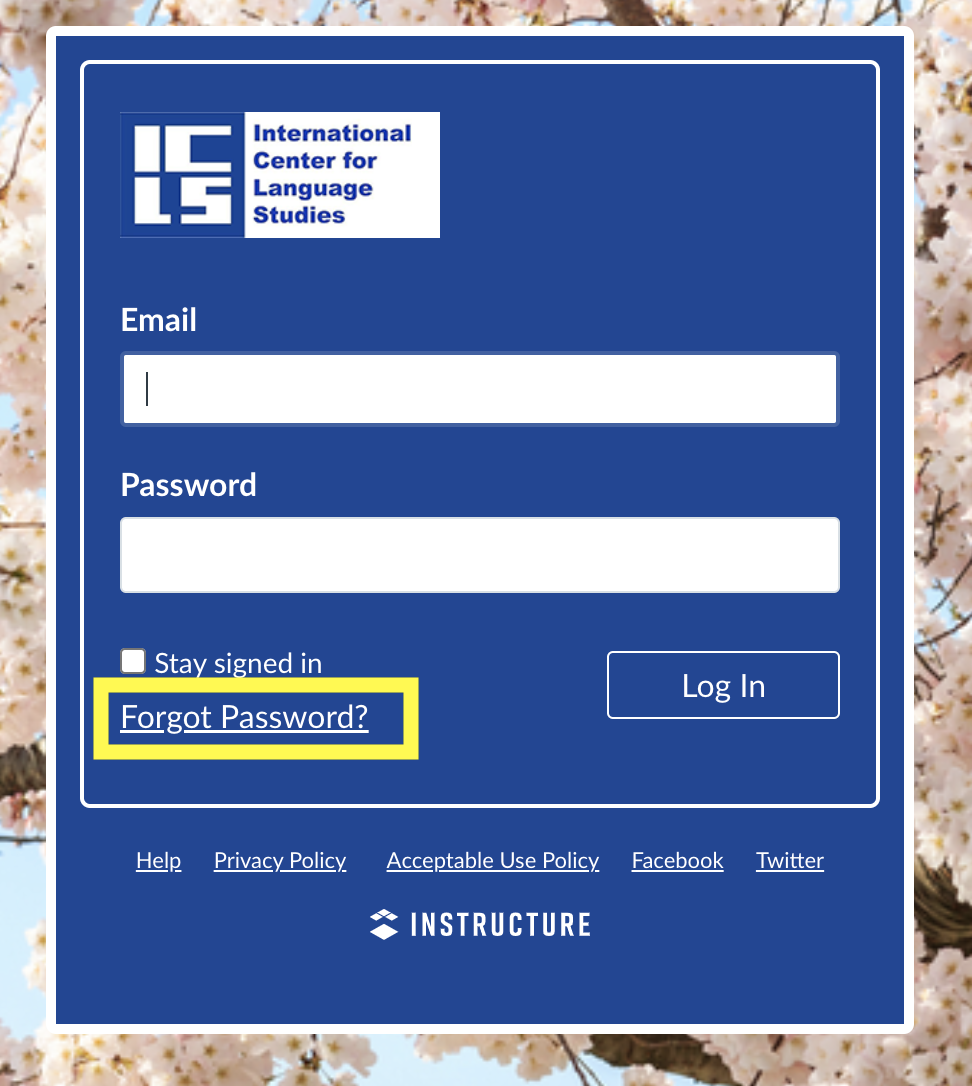 How do I access my Canvas course?